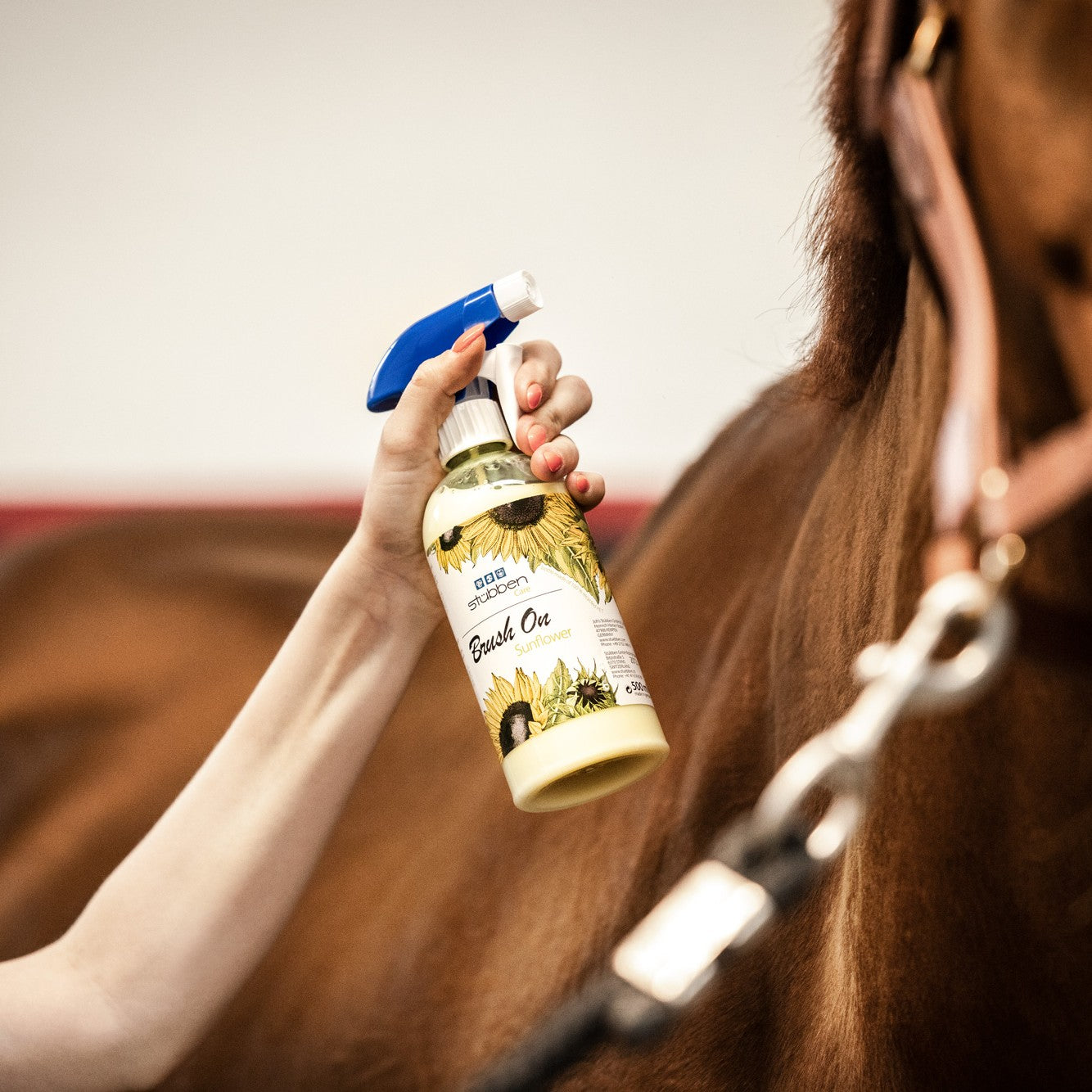 Mane Spray – Stübben