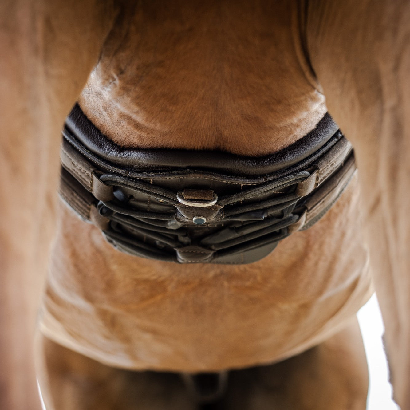 Equi-Soft® – Stübben
